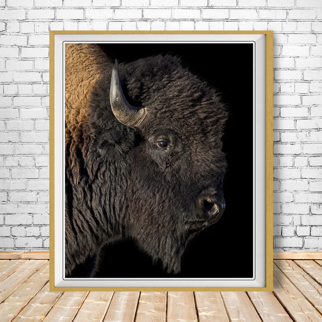 Bison Poster, Wildlife Art, Buffalo Print, Animal Art, American ...