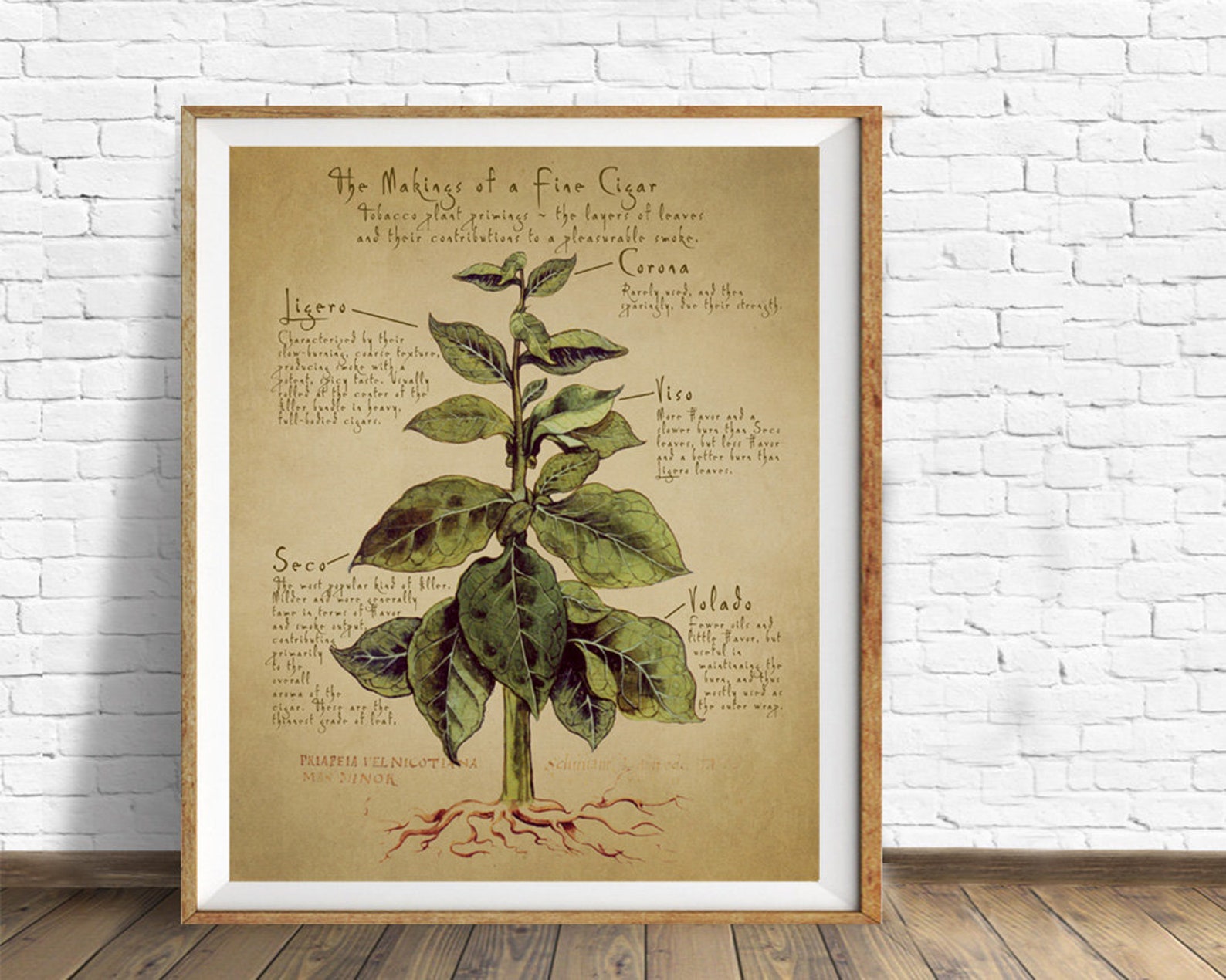 Cigar Art Tobacco Cigar Print Smoker Gifts Man Cave Decor Cigar Poster ...