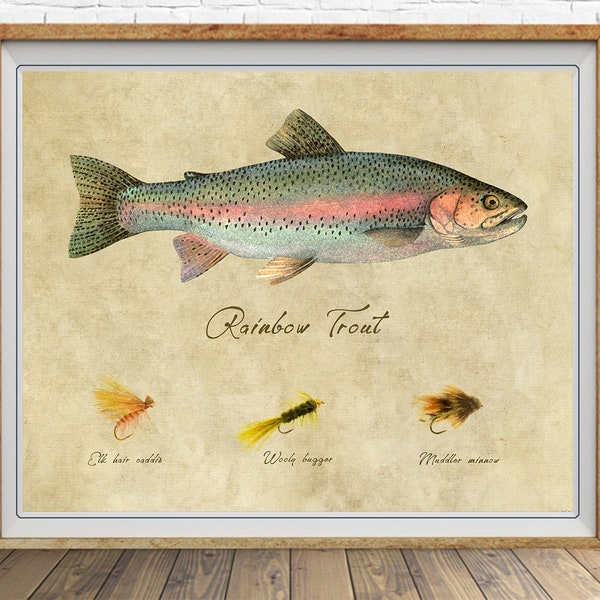 Rainbow Trout Art - Etsy