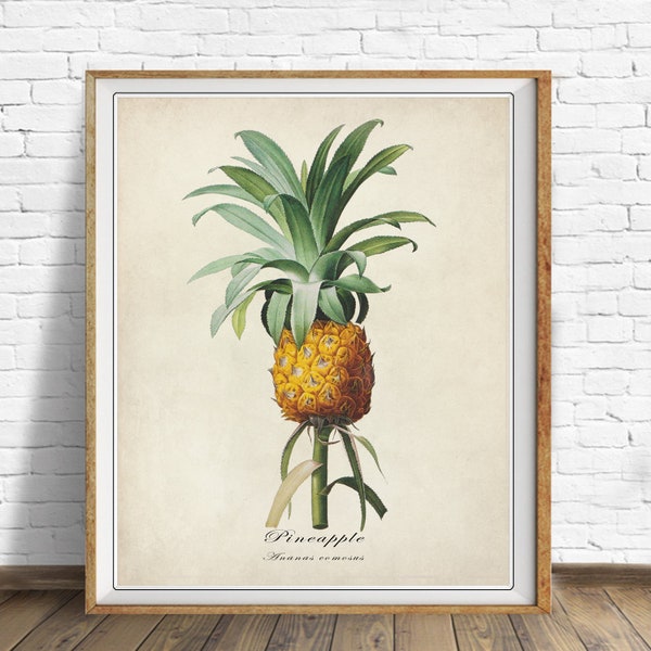 Pineapple Poster - Etsy