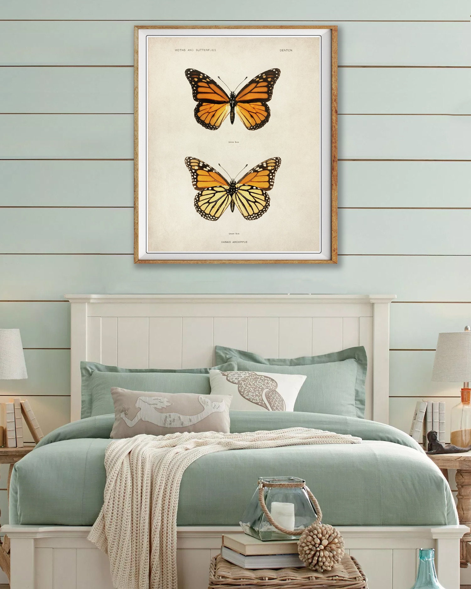 Vintage Butterfly Print, Monarch Butterfly Poster Insect Illustration ...