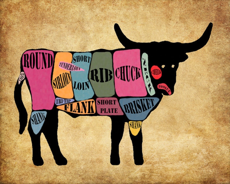 Beef Cut Poster Steer Cuts Meat Cuts Chart Beef Diagram - Etsy