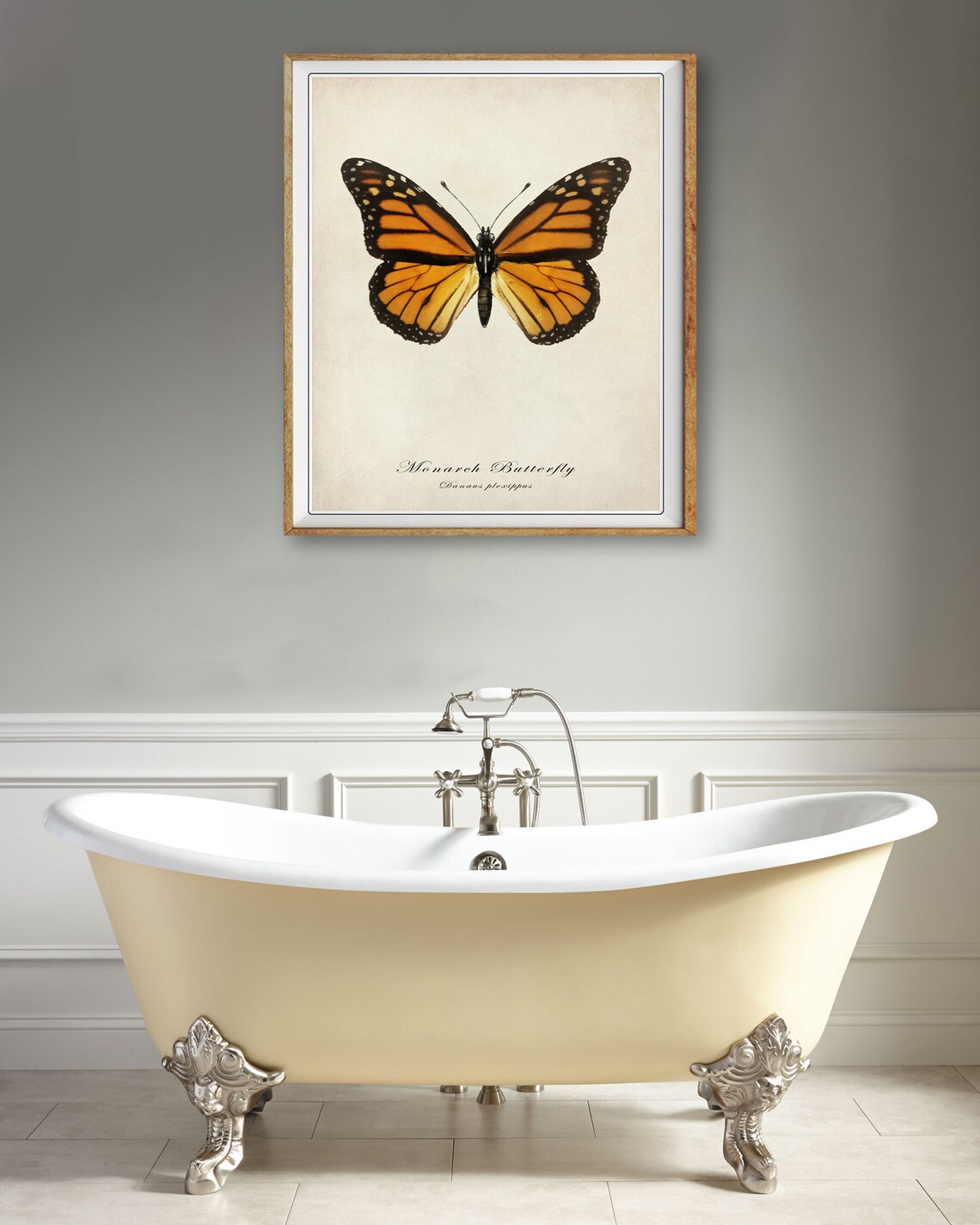 Monarch Butterfly Poster Vintage Butterfly Print Insect - Etsy