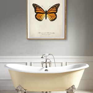 Monarch Butterfly Poster, Vintage Butterfly Print, Insect Illustration ...
