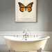 Monarch Butterfly Poster, Vintage Butterfly Print, Insect Illustration ...
