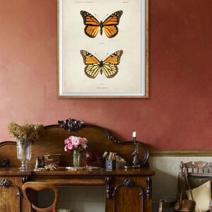Vintage Butterfly Print, Monarch Butterfly Poster Insect Illustration ...