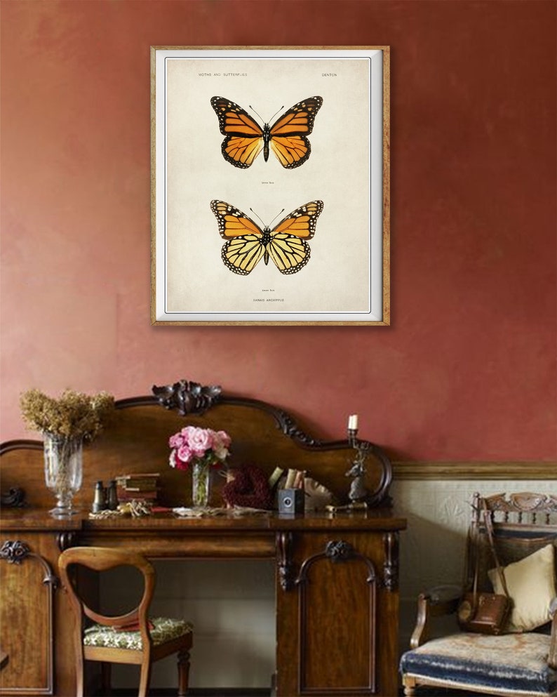 Vintage Butterfly Print Monarch Butterfly Poster Insect | Etsy