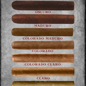 Cigar Art, Cigar Wrapper Colors Chart Cigar Poster Tobacco Print Man ...
