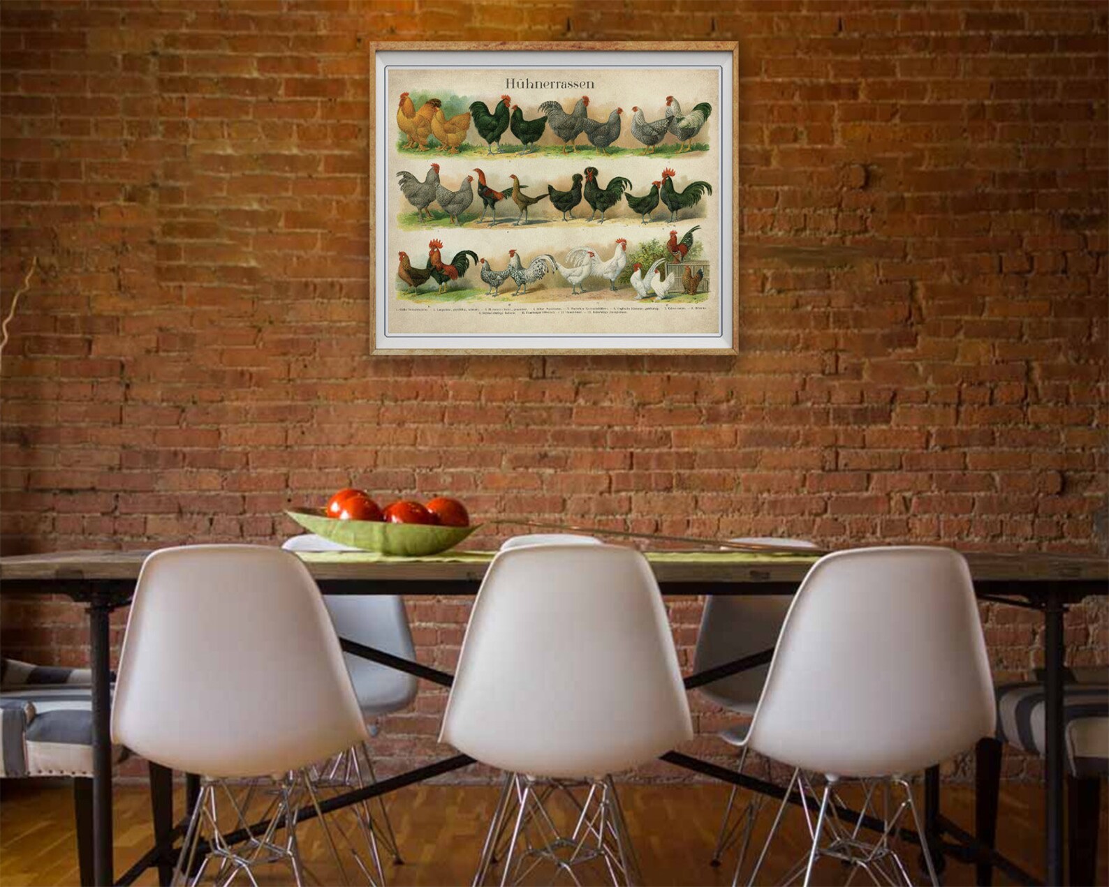 Vintage Chicken Poster Chicken Breeds Chart Print German | Etsy