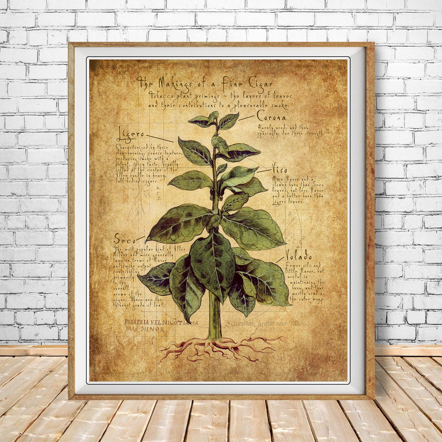 Cigar Art Cigar Prints Discounted Set of 3 Bar Art - Etsy UK