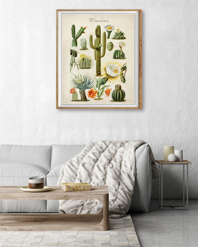 Vintage Cactus Poster Cactus Print Vintage Botanical Print - Etsy