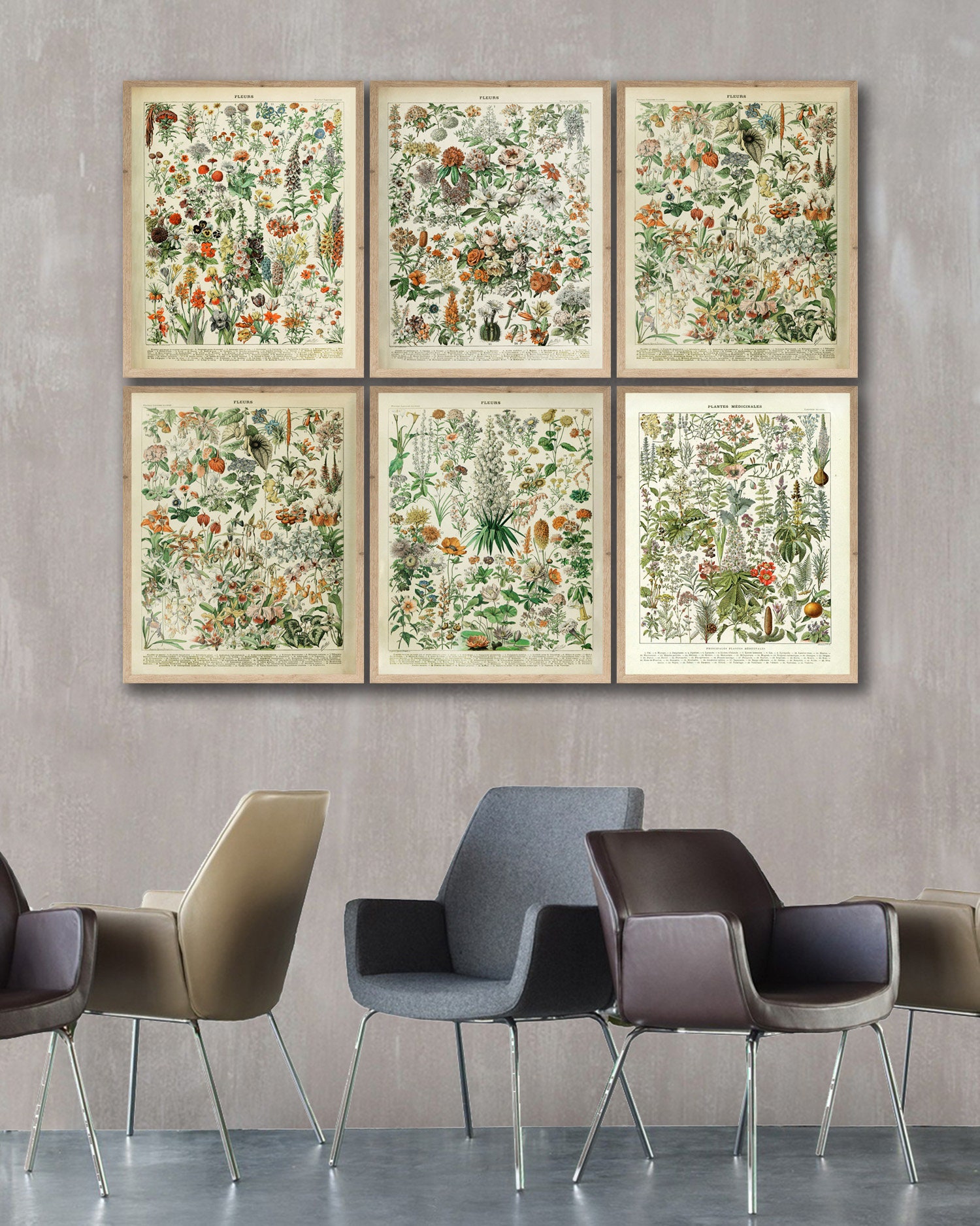 Vintage Botanical Print Flower Poster Set of 6 French | Etsy