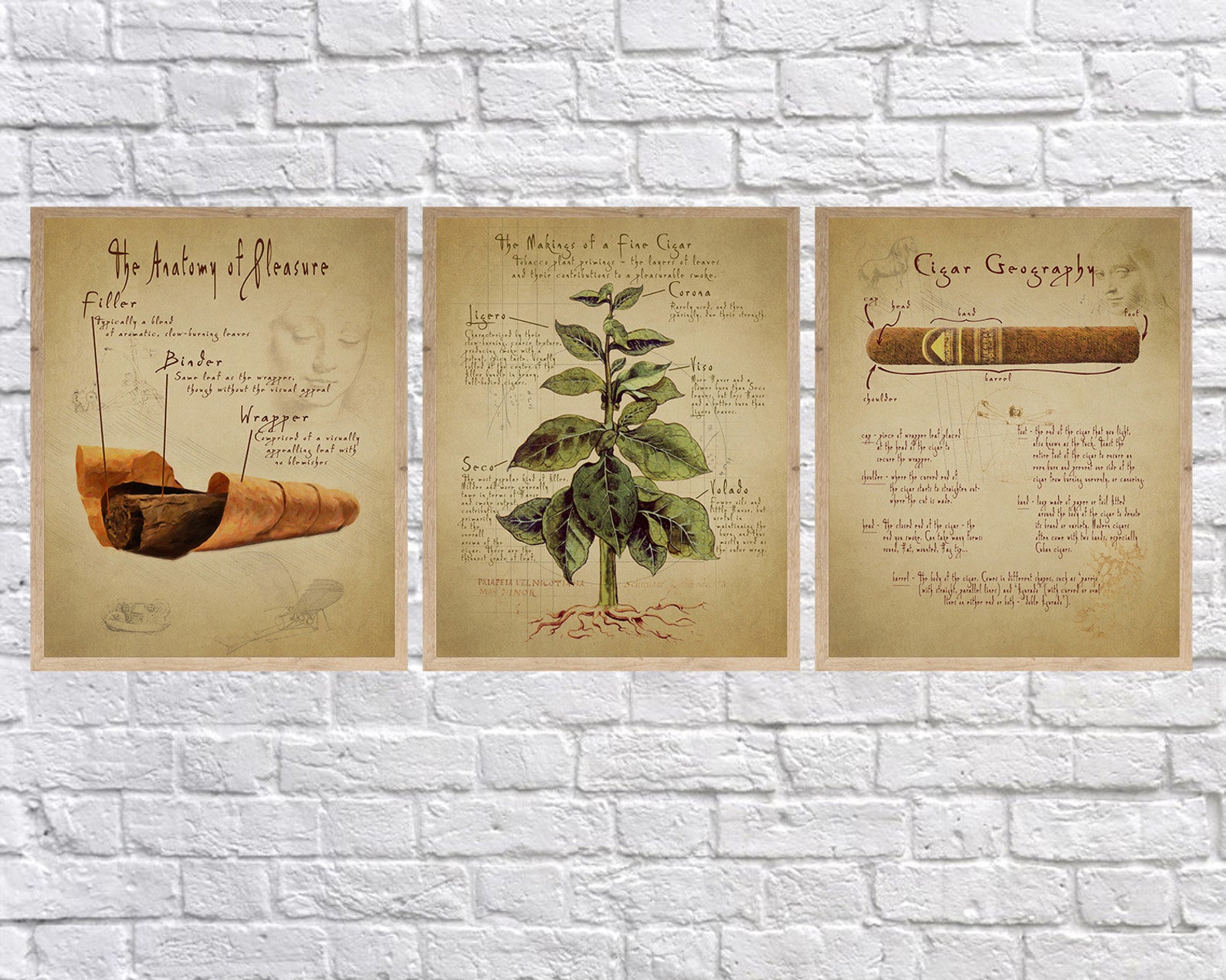 Cigar Art Cigar Prints Discounted Set of 3 Bar Art - Etsy UK