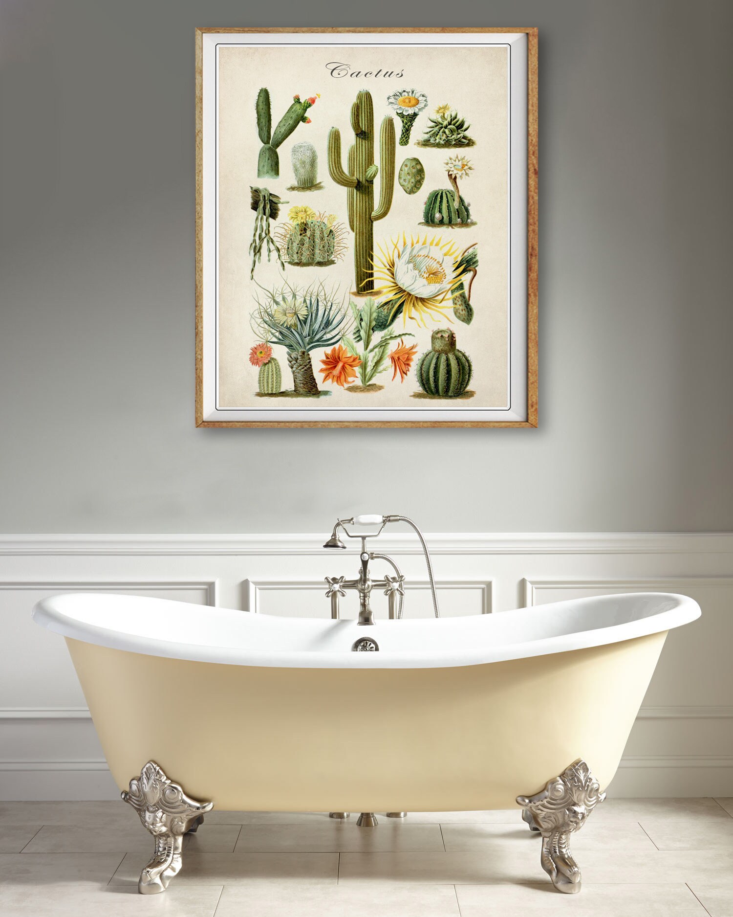 Vintage Cactus Poster, Cactus Print, Vintage Botanical Print, Succulent ...