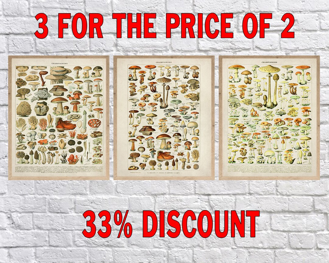 Vintage Mushroom Poster, Mushroom Poster Set of 3, French Botanical ...
