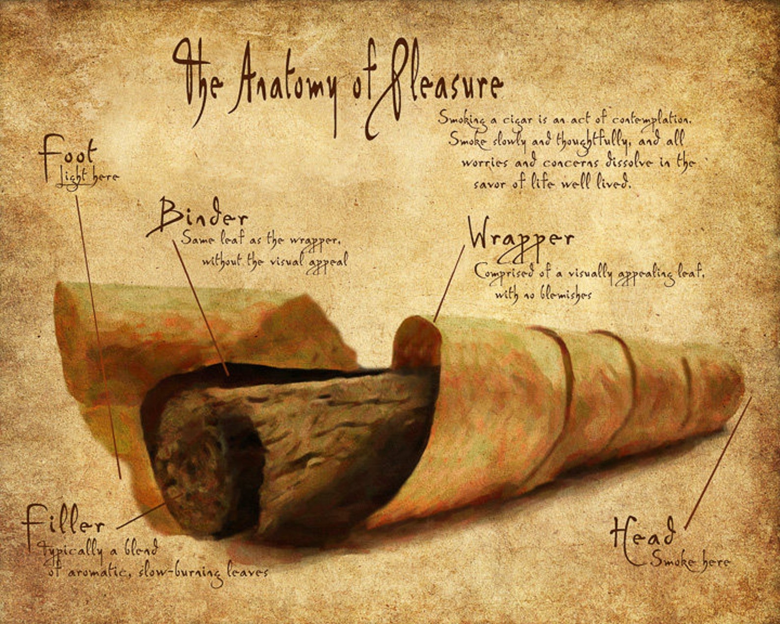 Cigar Art Leonardo Da Vinci Print Cigar Smoker Gifts Man Cave Etsy cigar-art-leonardo-da-vinci-print-cigar-smoker-gifts-man-cave-etsy