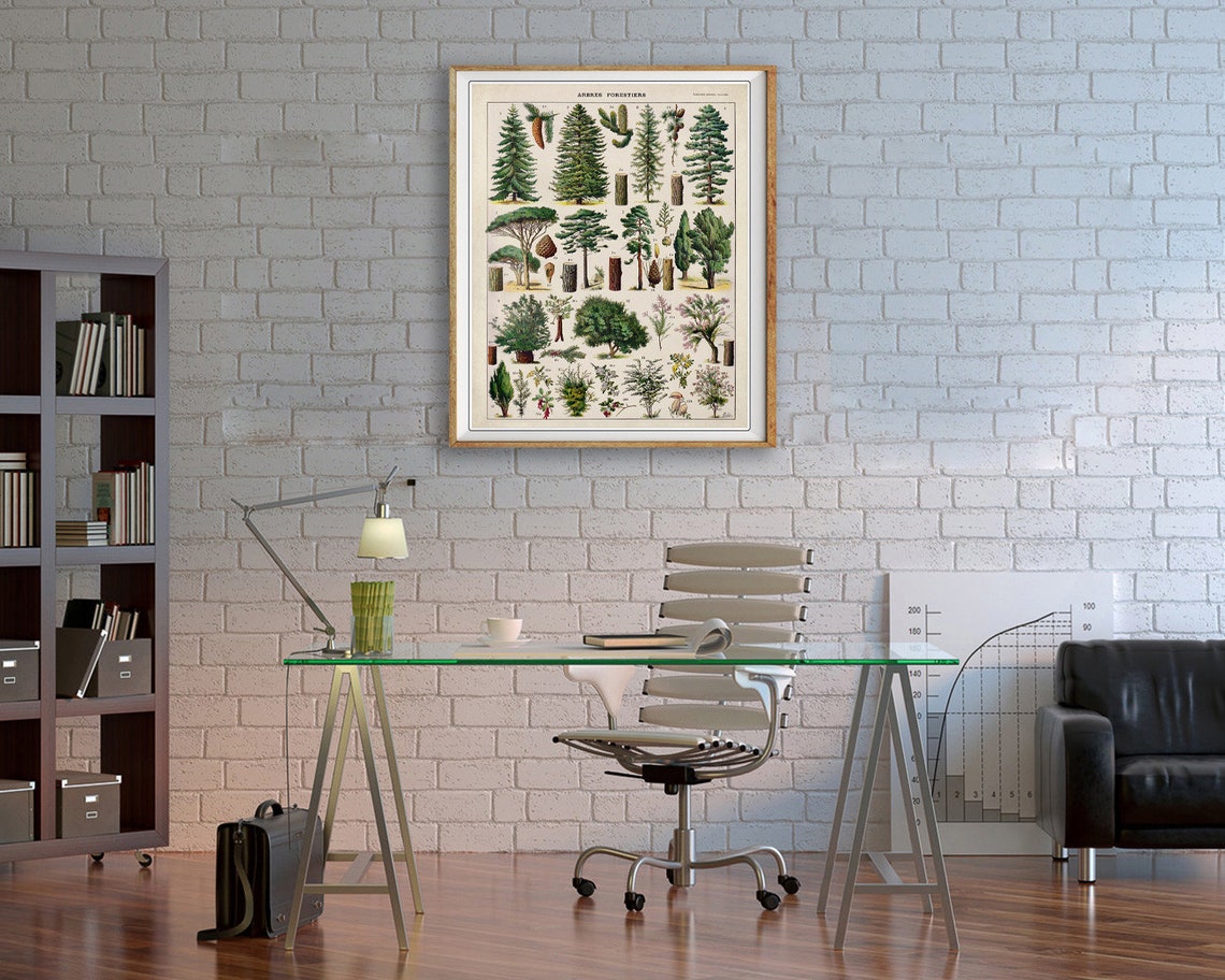 Vintage Tree Print French Tree Poster Botanical Print - Etsy