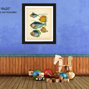 Vintage Fish Print, Colorful Fish Art, French Bookplate, Fish Poster ...