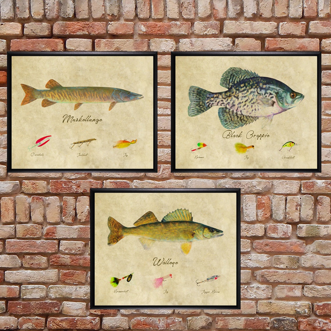 Fish Print Set of 3 Muskie Print Muskellunge Walleye Print | Etsy