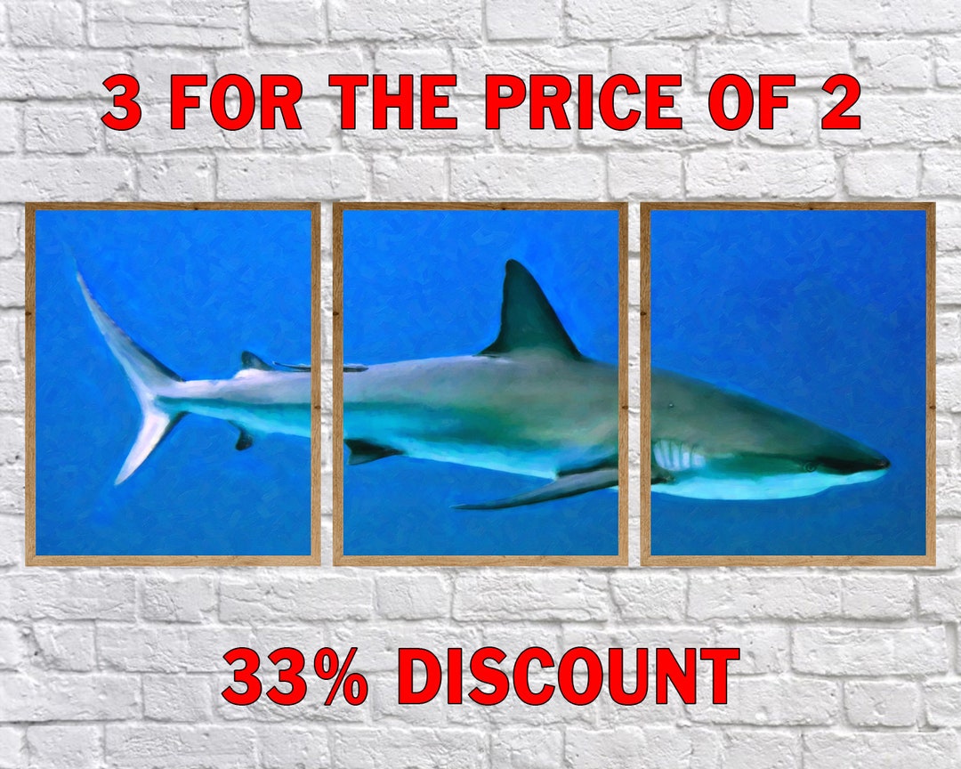 Great White Shark Poster, Set of 3, Shark Print, Great White Shark Art ...