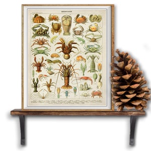 Vintage Crustacean Poster, Lobster Print, French Ocean Print Beach ...