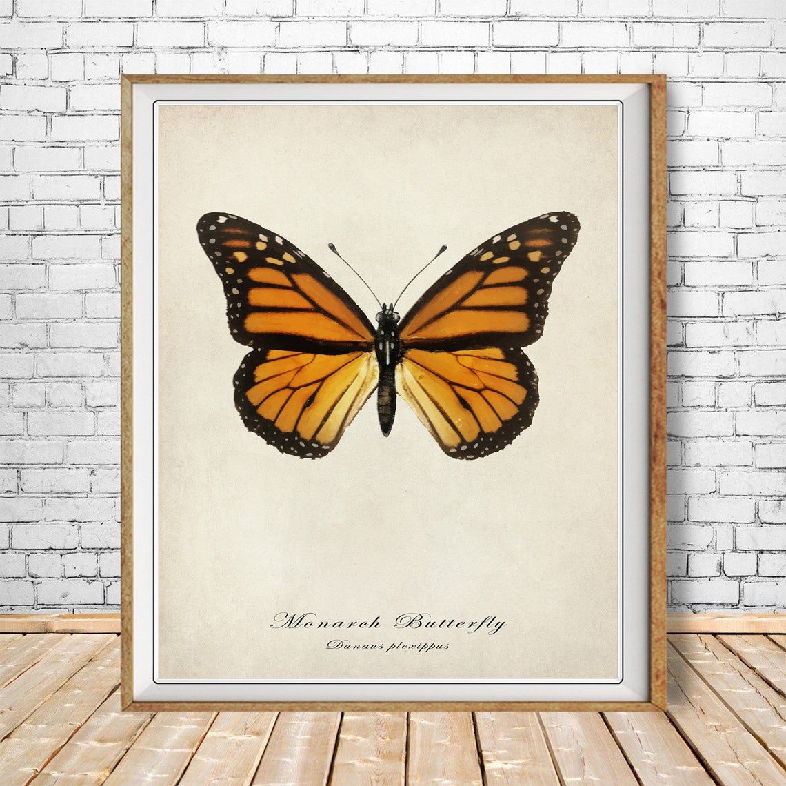 Monarch Butterfly Poster Vintage Butterfly Print Insect - Etsy