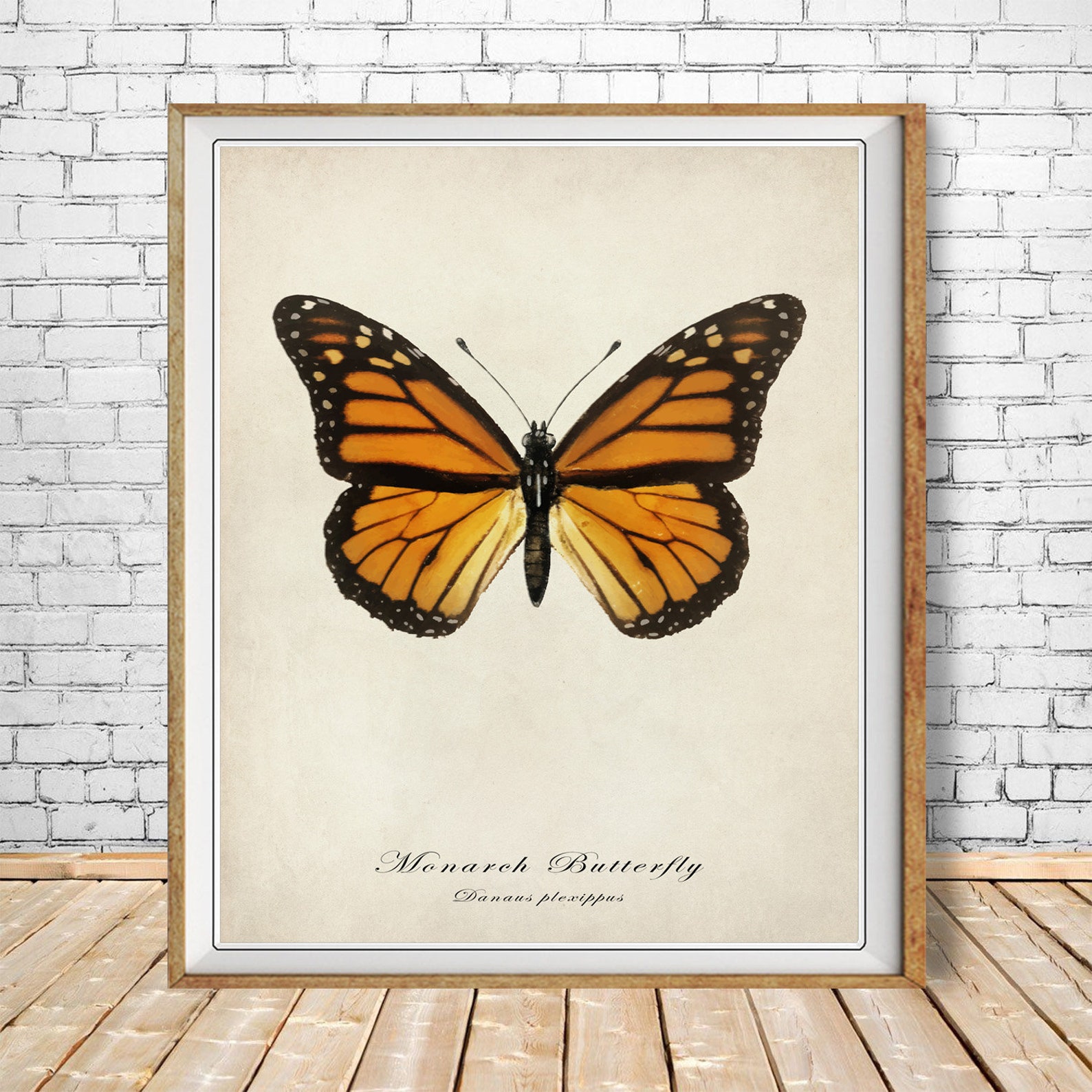 Monarch Butterfly Poster, Vintage Butterfly Print, Insect Illustration ...