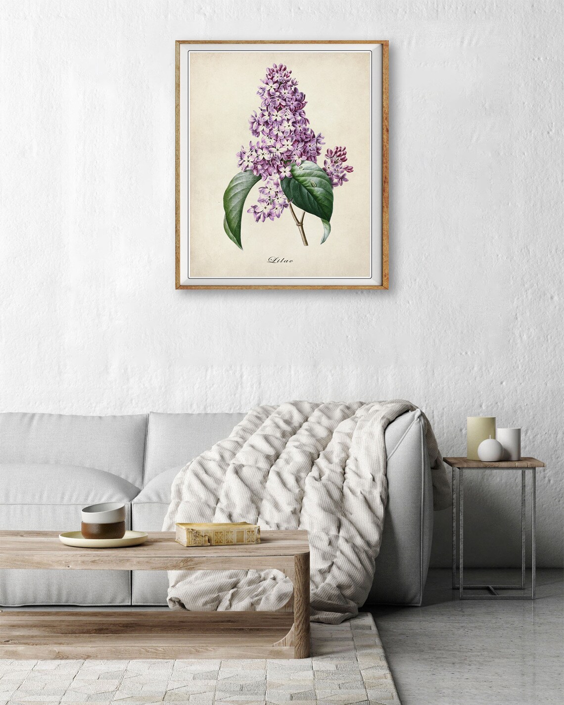 Vintage Botanical Print, Lilac Print, Flower Poster, Redoute Wall Art ...