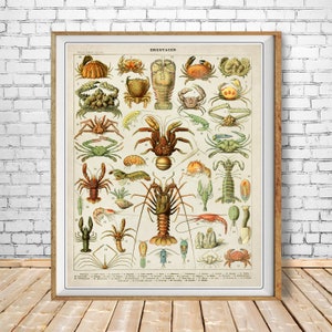 Vintage Crustacean Poster, Lobster Print, French Ocean Print Beach ...