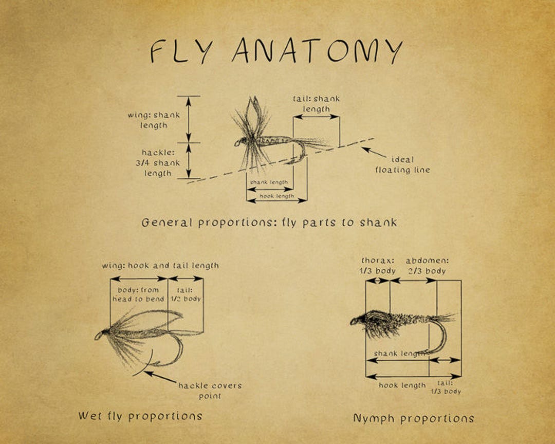 Fly Fishing Poster - Fly Tying Diagram - Fly Fishing Print - Chart ...