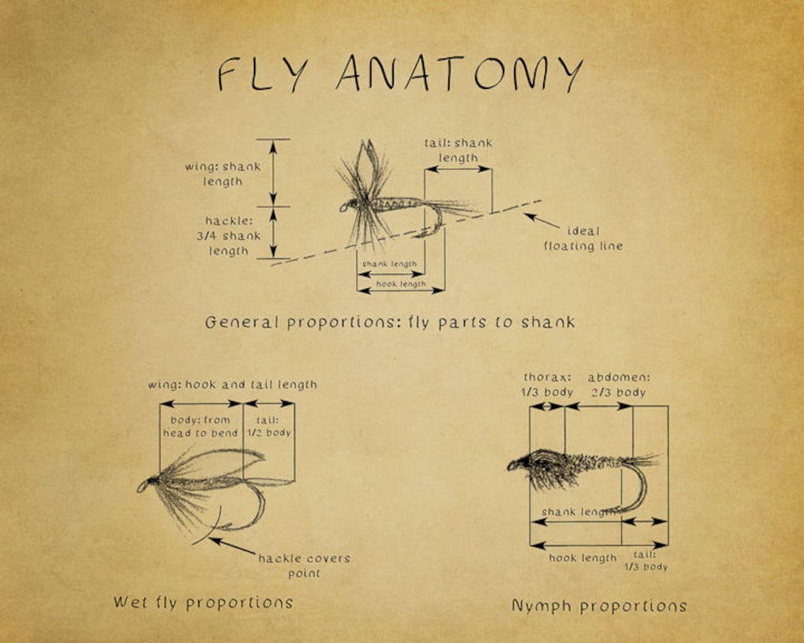 Fly Fishing Poster Fly Tying Diagram Fly Fishing Print - Etsy
