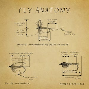 Fly Fishing Poster - Fly Tying Diagram - Fly Fishing Print - Chart ...