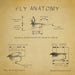 Fly Fishing Poster Fly Tying Diagram Fly Fishing Print Chart Poster ...