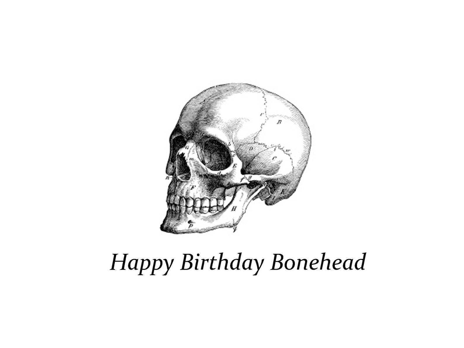 Happy Birthday Bonehead Bonehead Bone Head Funny Birthday - Etsy