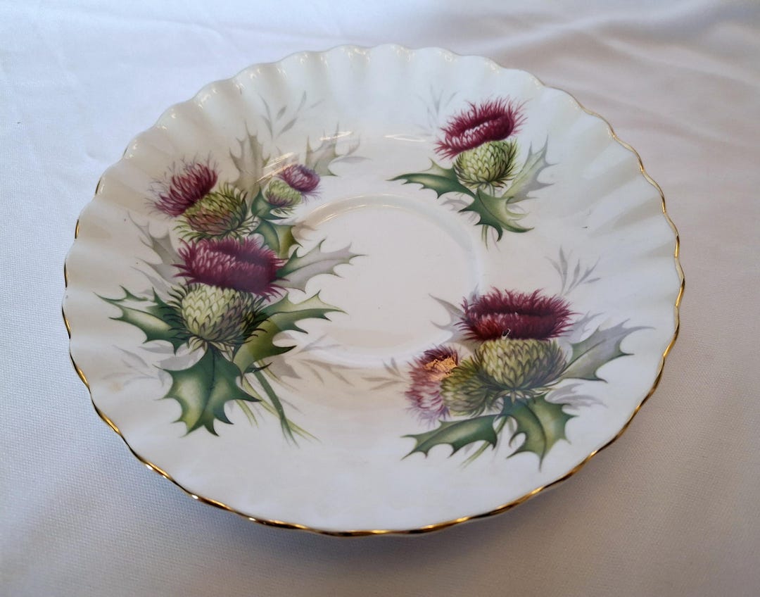 Orphan Royal Albert Highland Thistle Patterned Floral Saucers, Fine ...