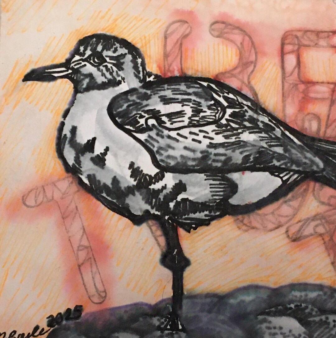 Alphabet Bird #3 - Juvenile Gull by Artist Marg Boyle - Miniature ...