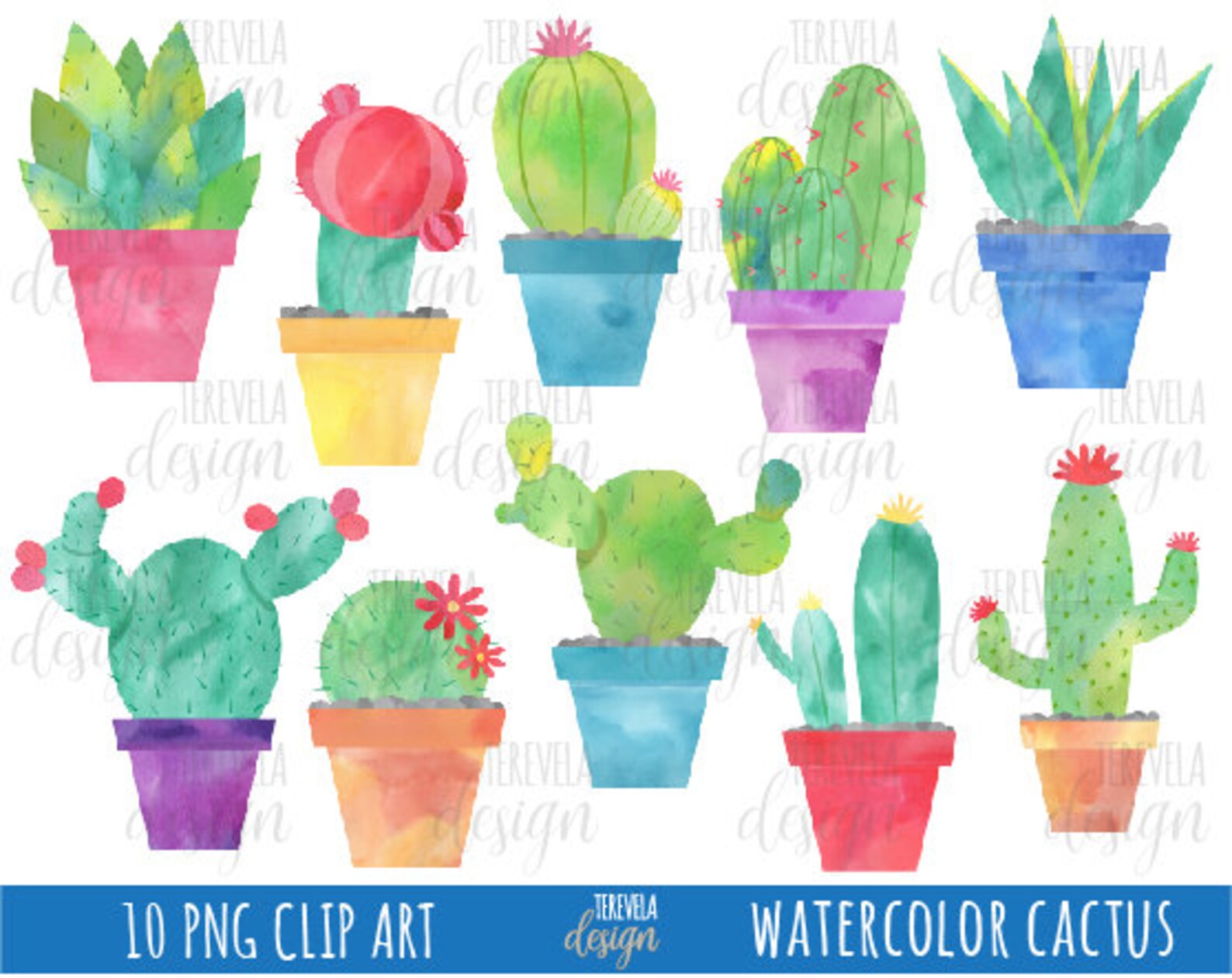 WATERCOLOR CACTUS clipart botanical clipart commercial use | Etsy