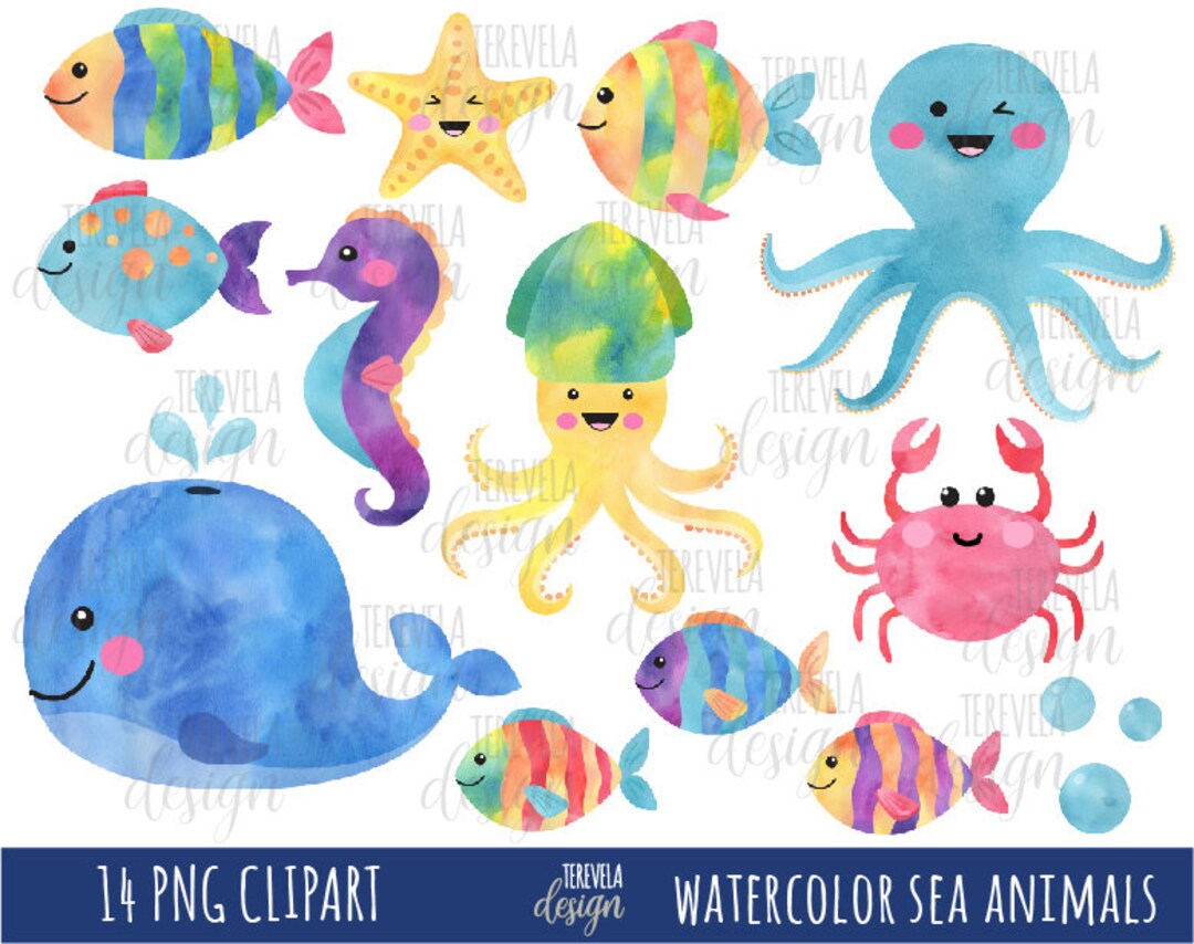 WATERCOLOR SEA ANIMALS Clipart, Summer Clipart, Commercial Use, Fish ...
