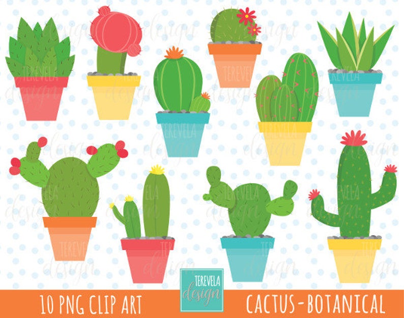 CACTUS Clipart Botanical Clipart Commercial Use Cute - Etsy