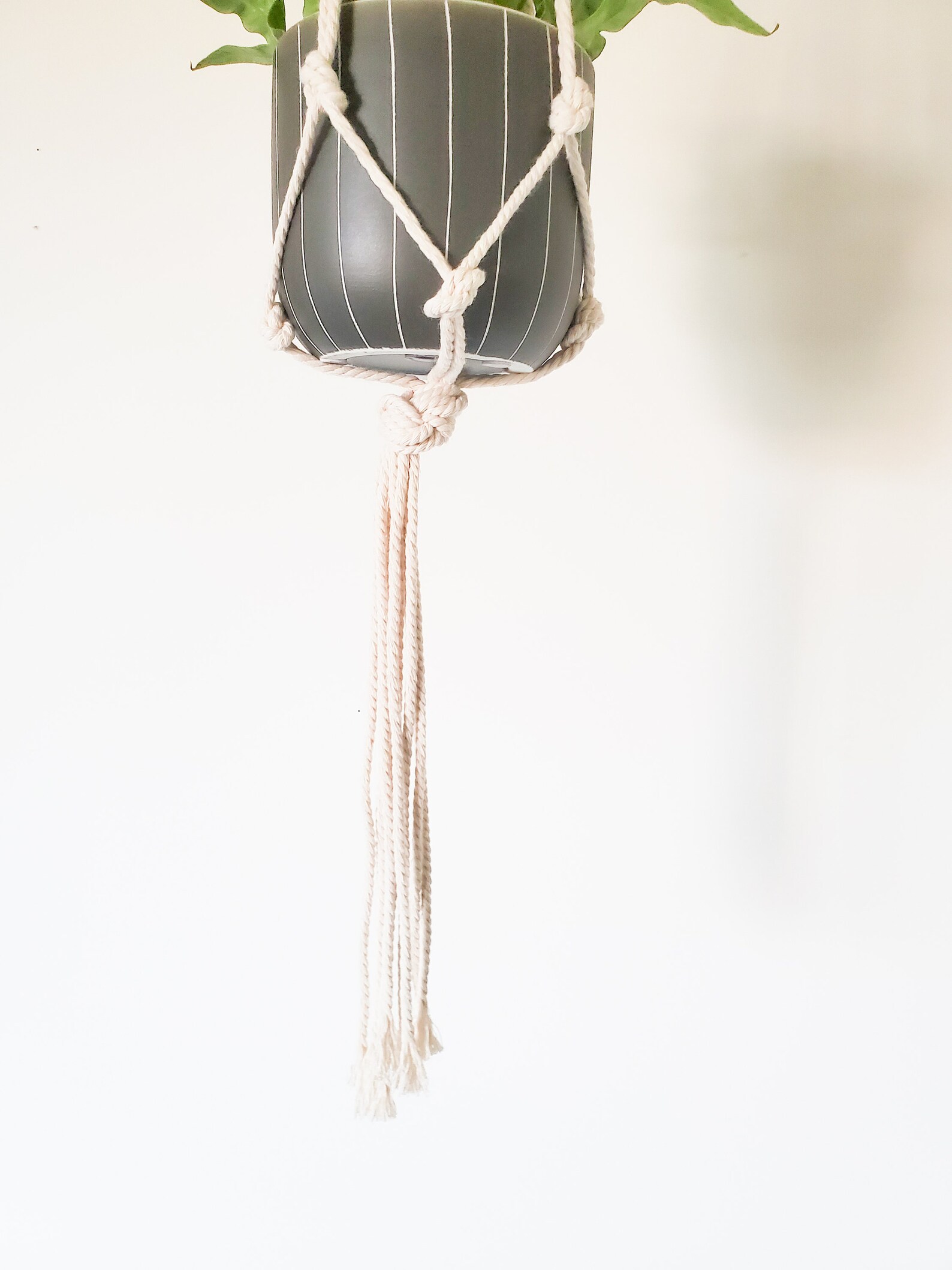 Macrame Plant Hanger Plant Hanger Rope Plant Hanger Macrame - Etsy