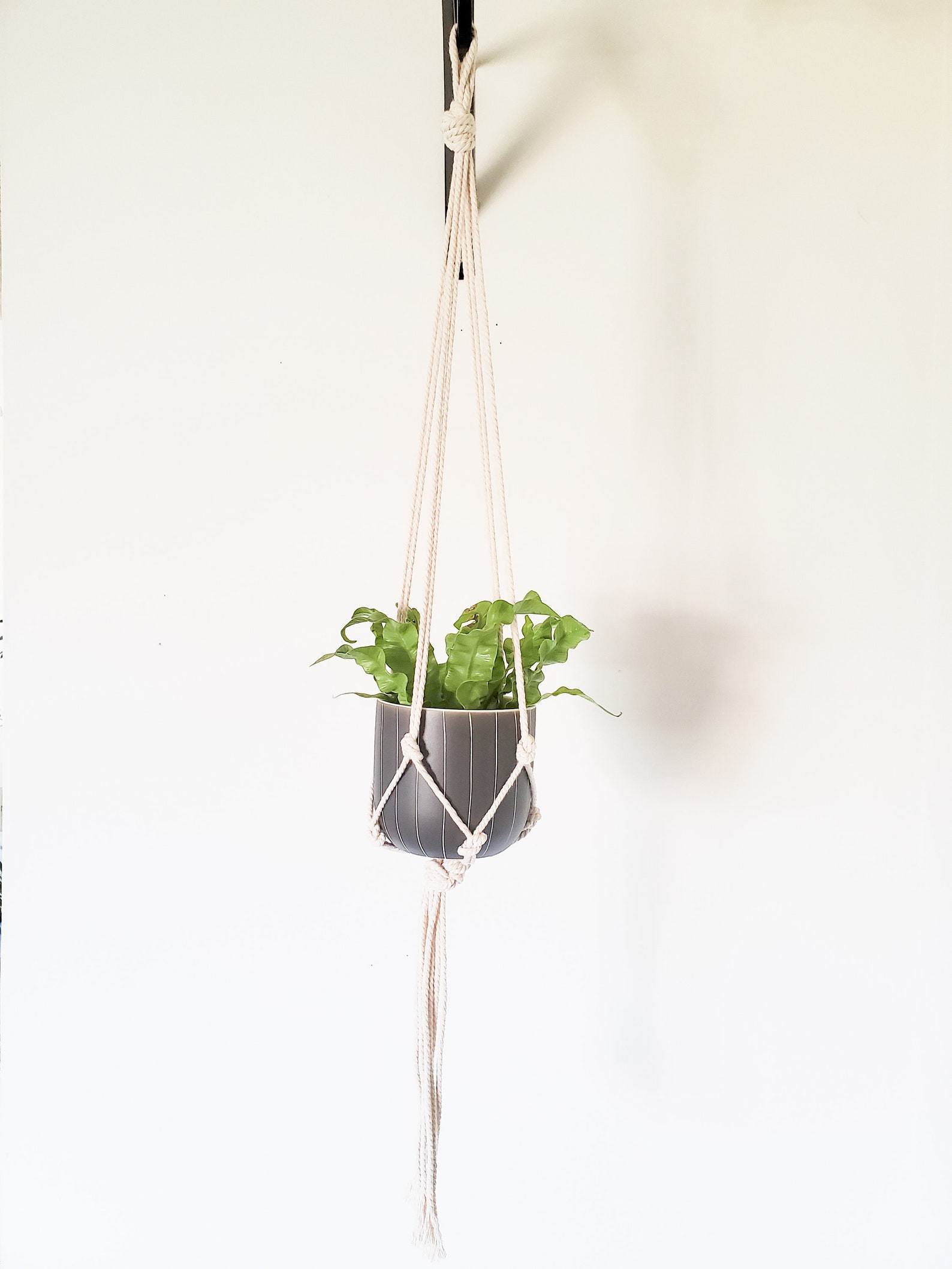 Macrame Plant Hanger Plant Hanger Rope Plant Hanger Macrame - Etsy
