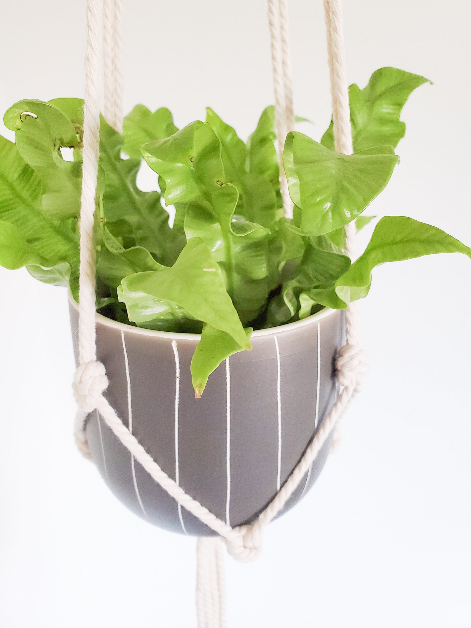 Macrame Plant Hanger Plant Hanger Rope Plant Hanger Macrame - Etsy