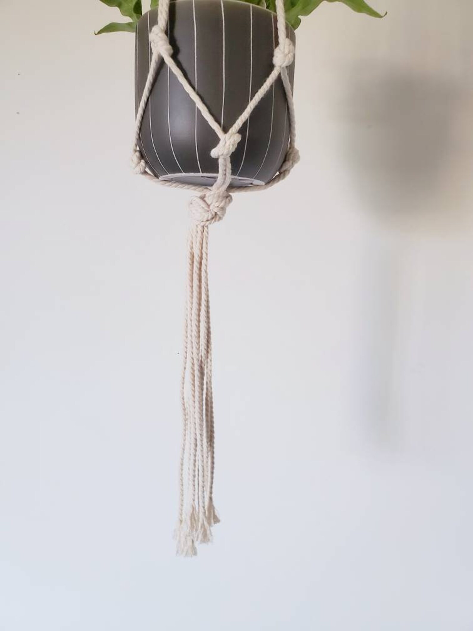 Macrame plant hanger plant hanger rope plant hanger macrame | Etsy