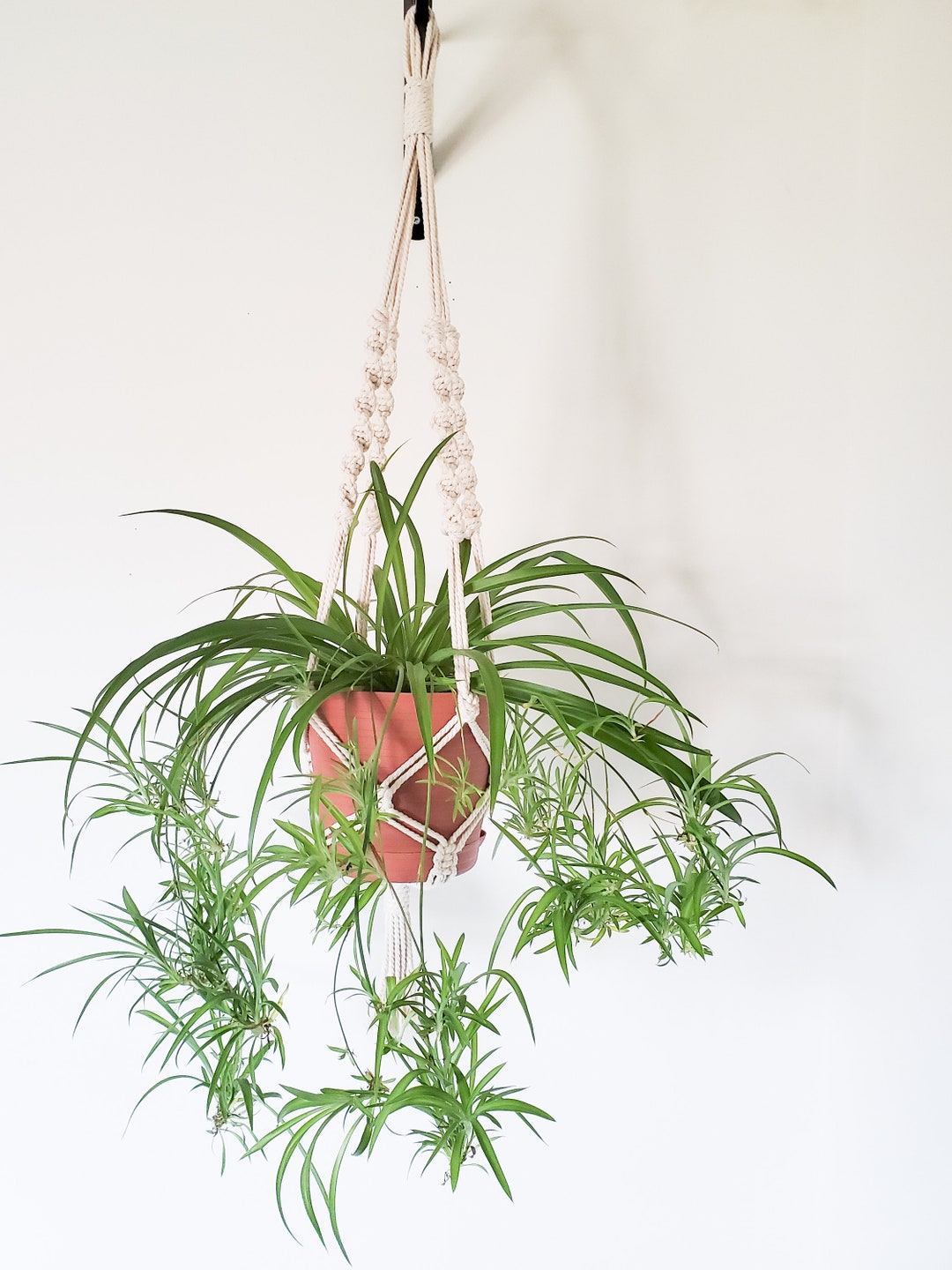 Macrame Plant Hanger, Plant Hanger, Macrame Plant Holder, Plant Holder ...