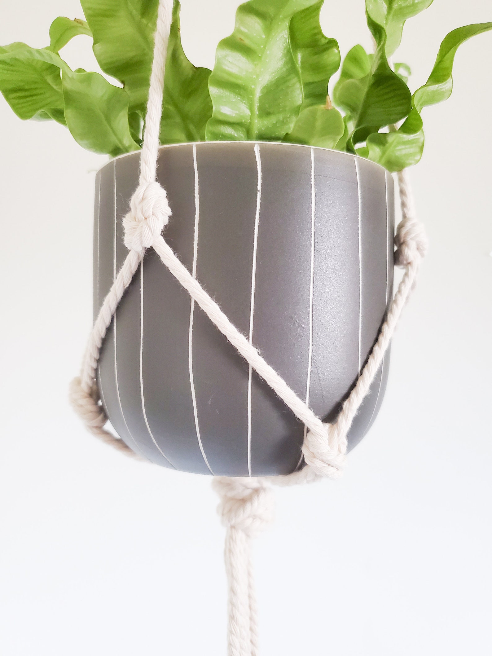 Macrame Plant Hanger Plant Hanger Rope Plant Hanger Macrame - Etsy
