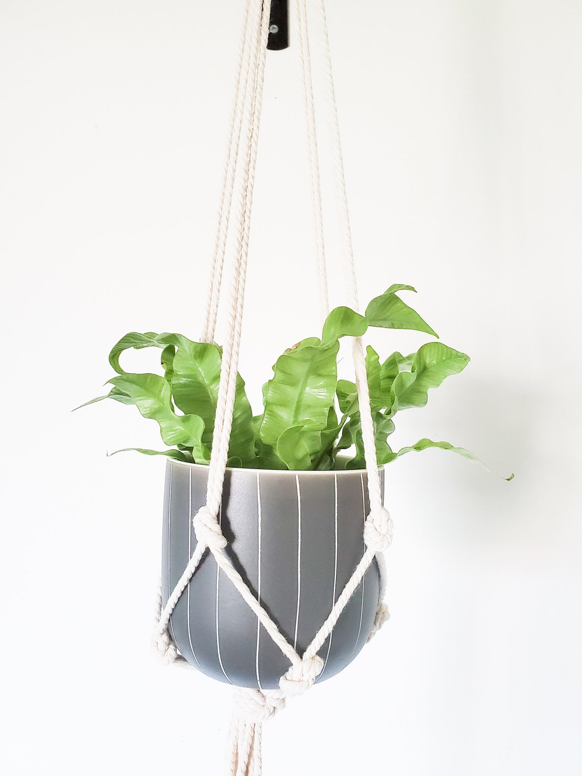 Macrame Plant Hanger Plant Hanger Rope Plant Hanger Macrame - Etsy