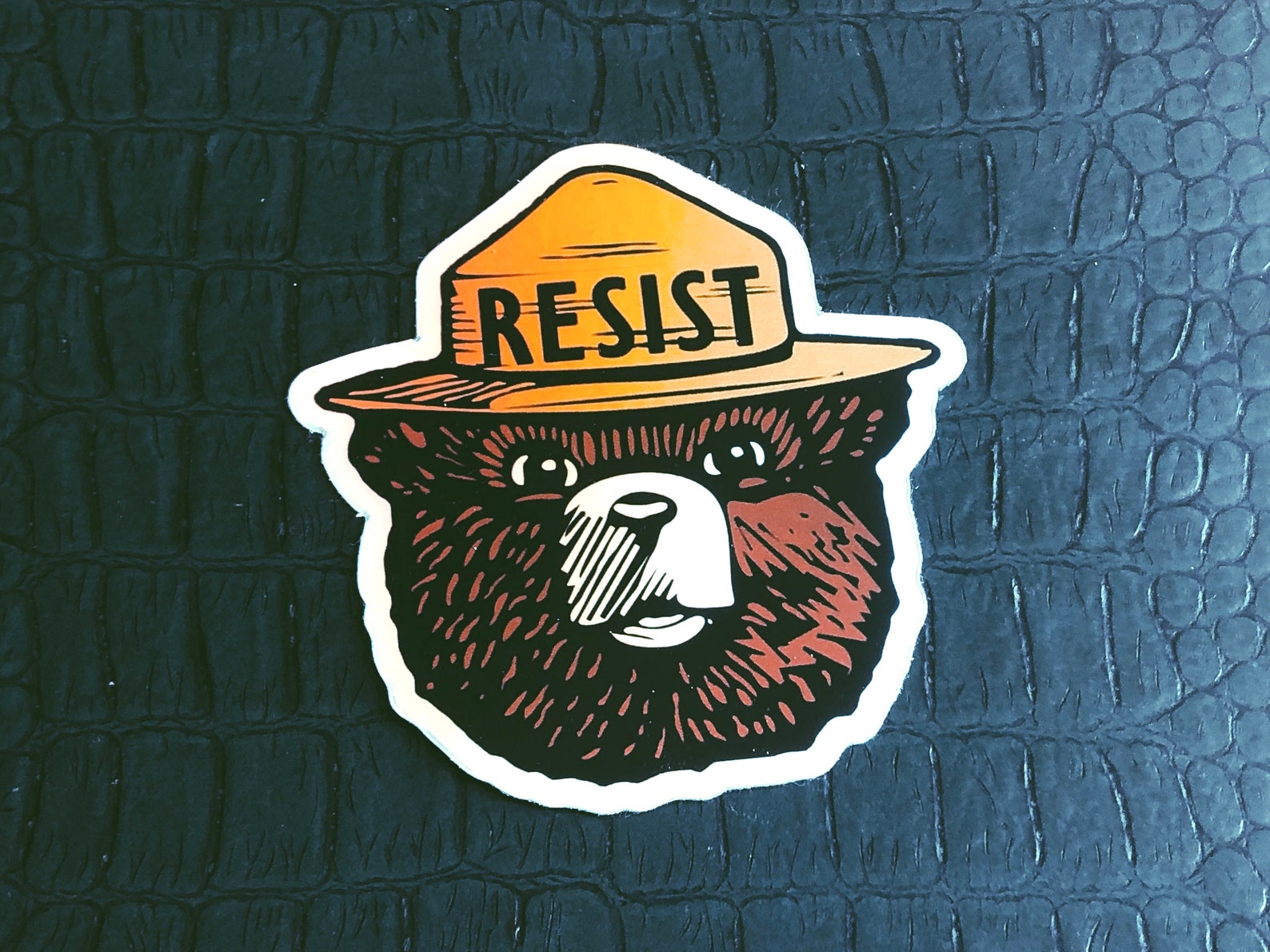 Smokey the Bear resist Holographic Vinyl Sticker - Etsy