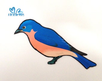 Blue Bird eastern Winter Scene Focus on Bird Magnet - Etsy
