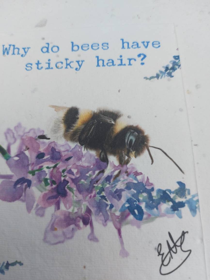 Plantable Seed Cards Eco Friendly Cards Seed Paper Cards - Etsy