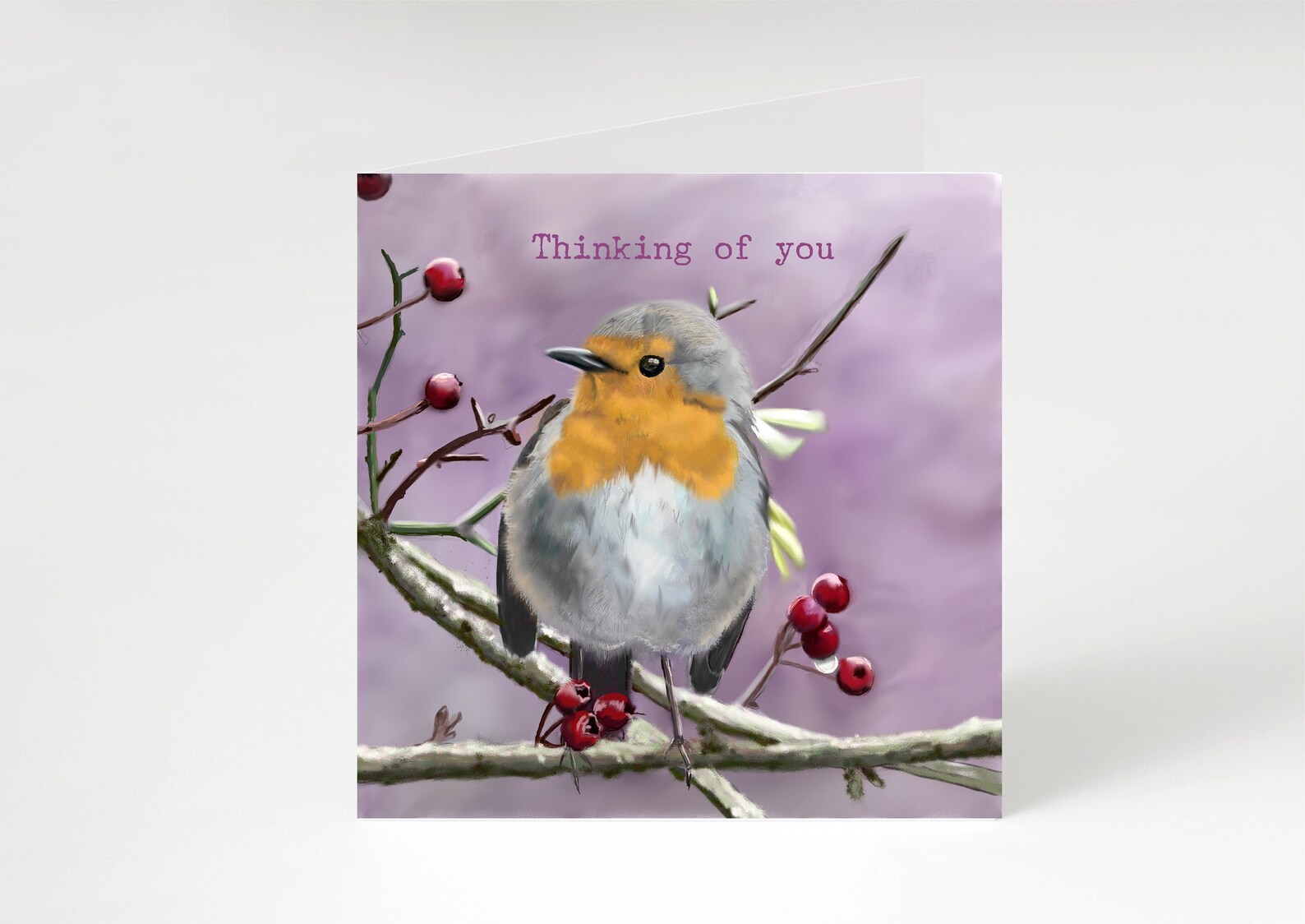 Robin Sympathy Card: Thinking of You, Friendship Card - Etsy UK